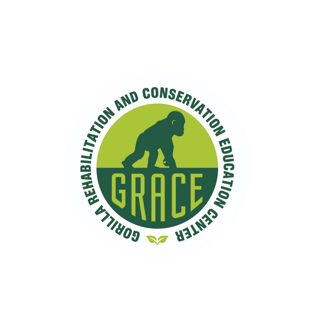 GRACE Logo Sticker | Shop GRACE Gorillas