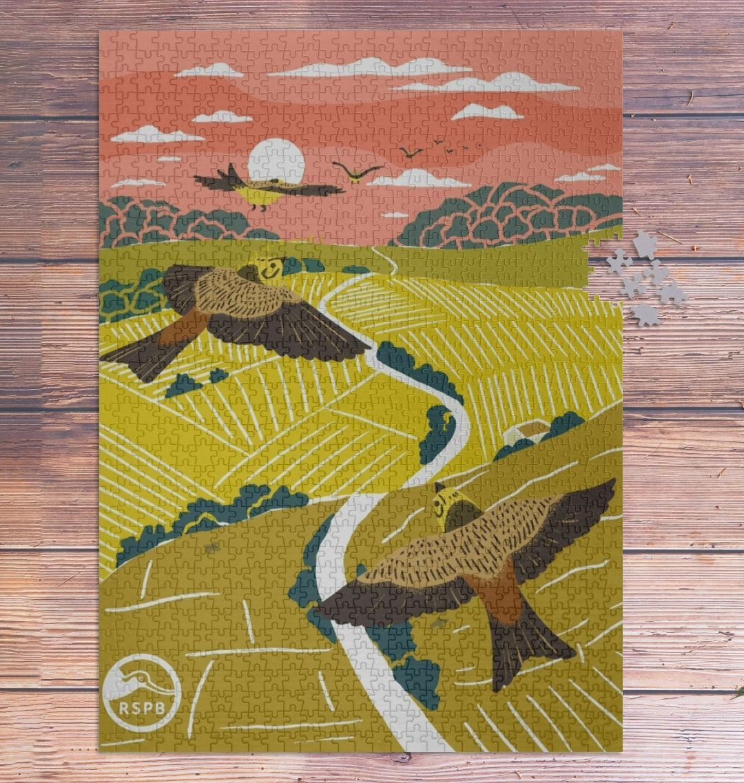 Birds Eye View Jigsaw Puzzle | Official RSPB Shop