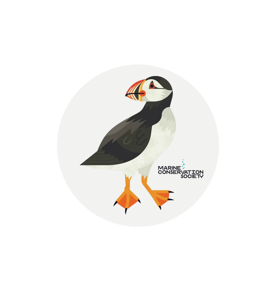 Puffin Sticker