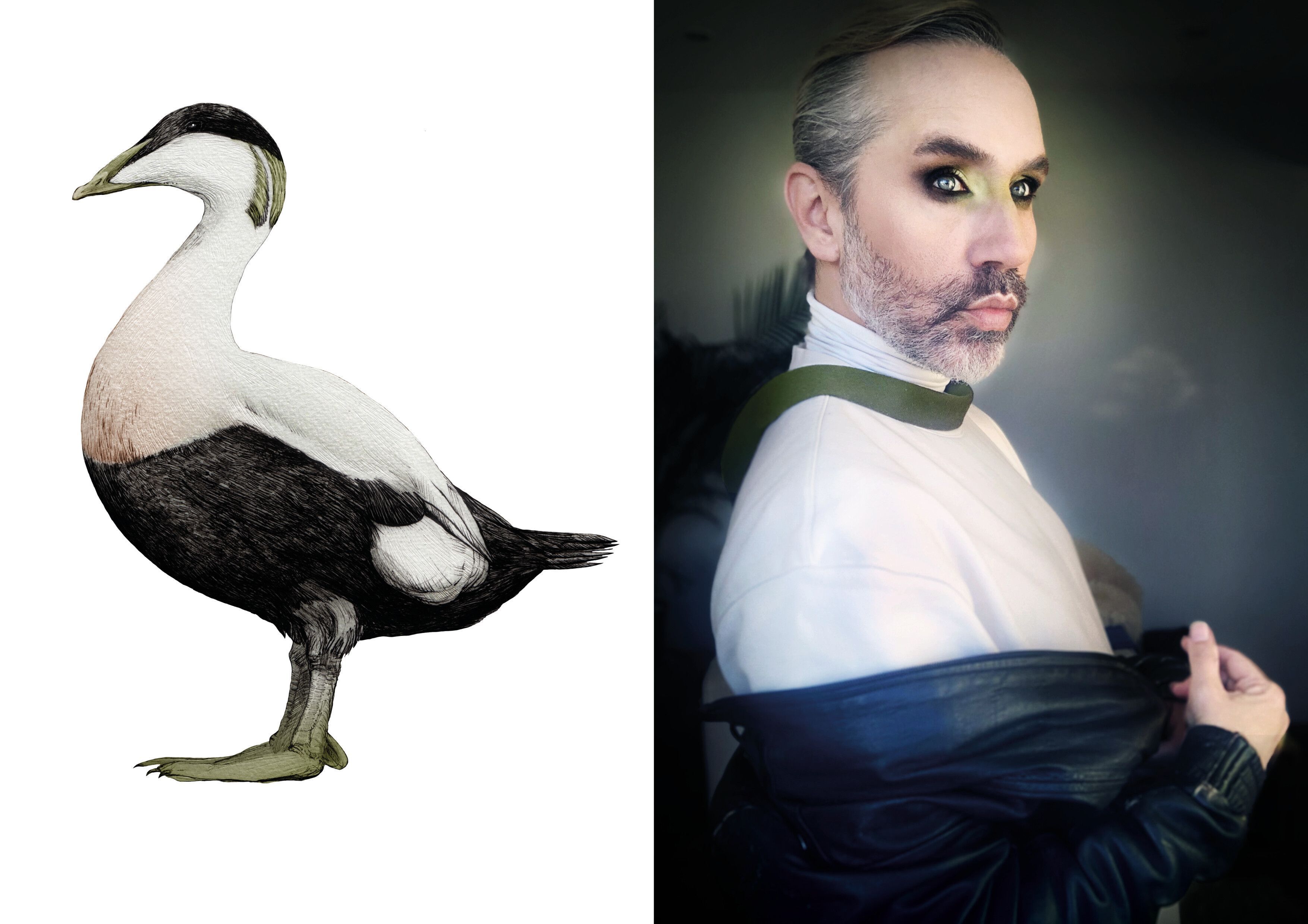The Mallard - As Seen on TV