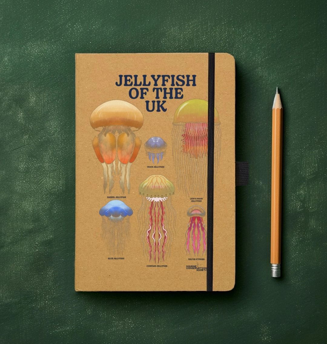 Jellyfish Notebook