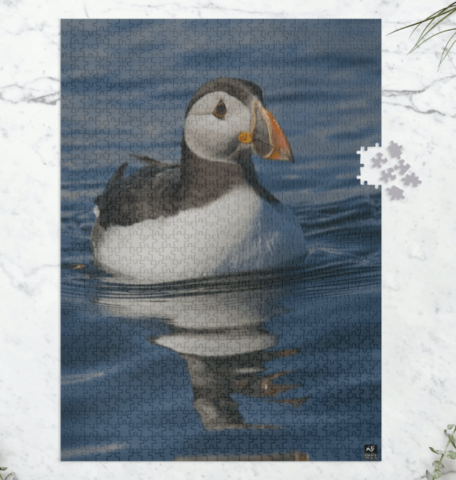 Puffin 1000 Piece Jigsaw
