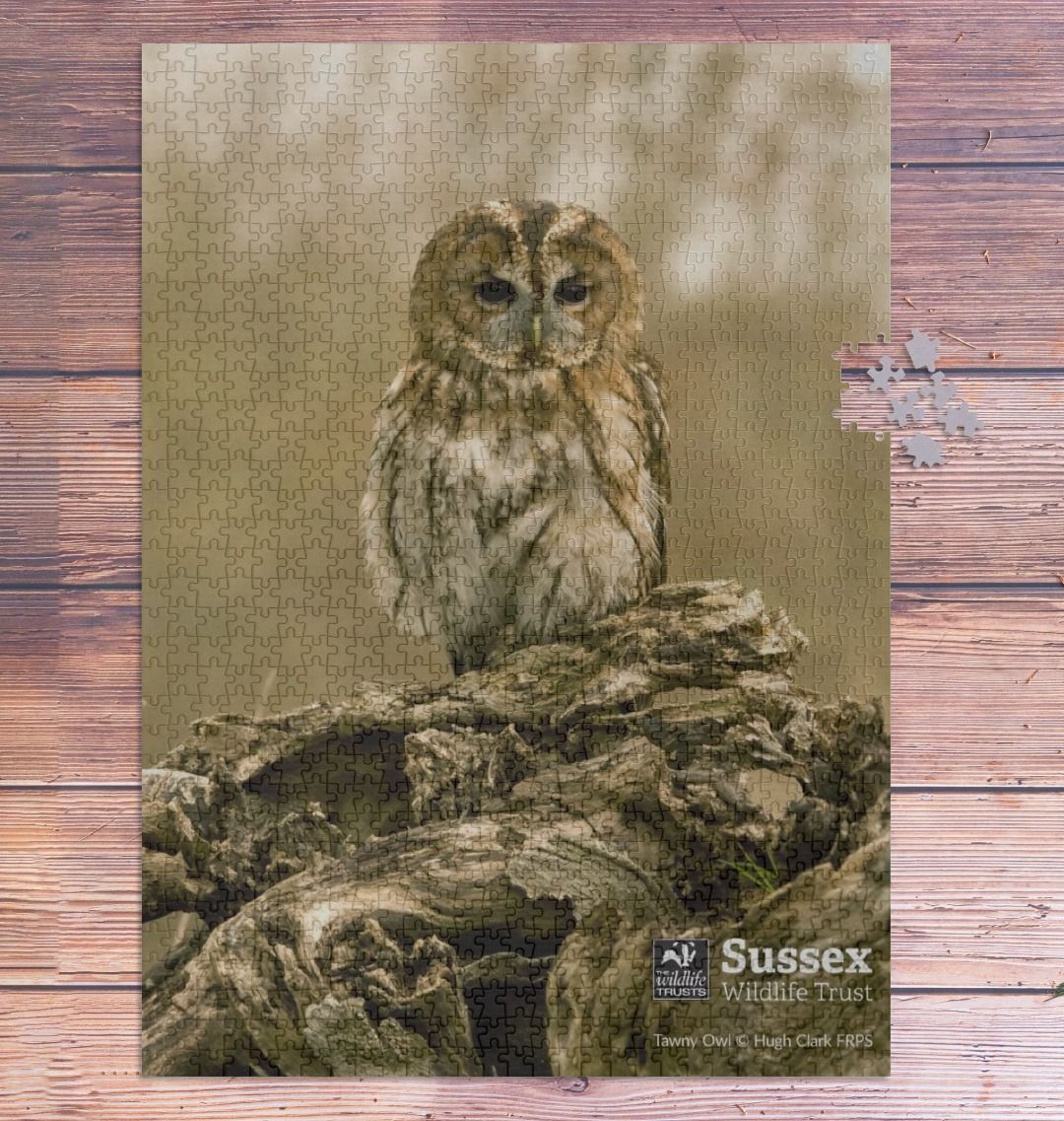 Tawny Owl Puzzle