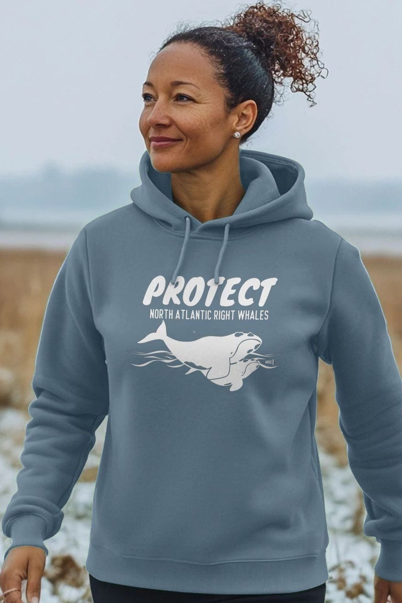 The Whale Store