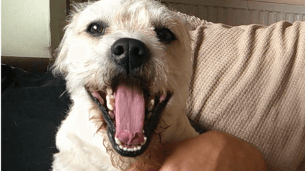 The Cool AF Collection