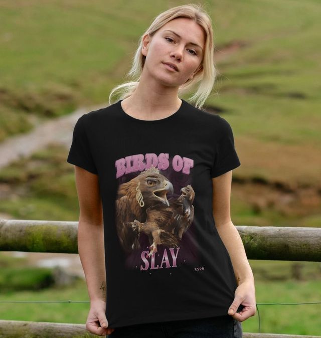 Birds Of Slay Oversized Jumper