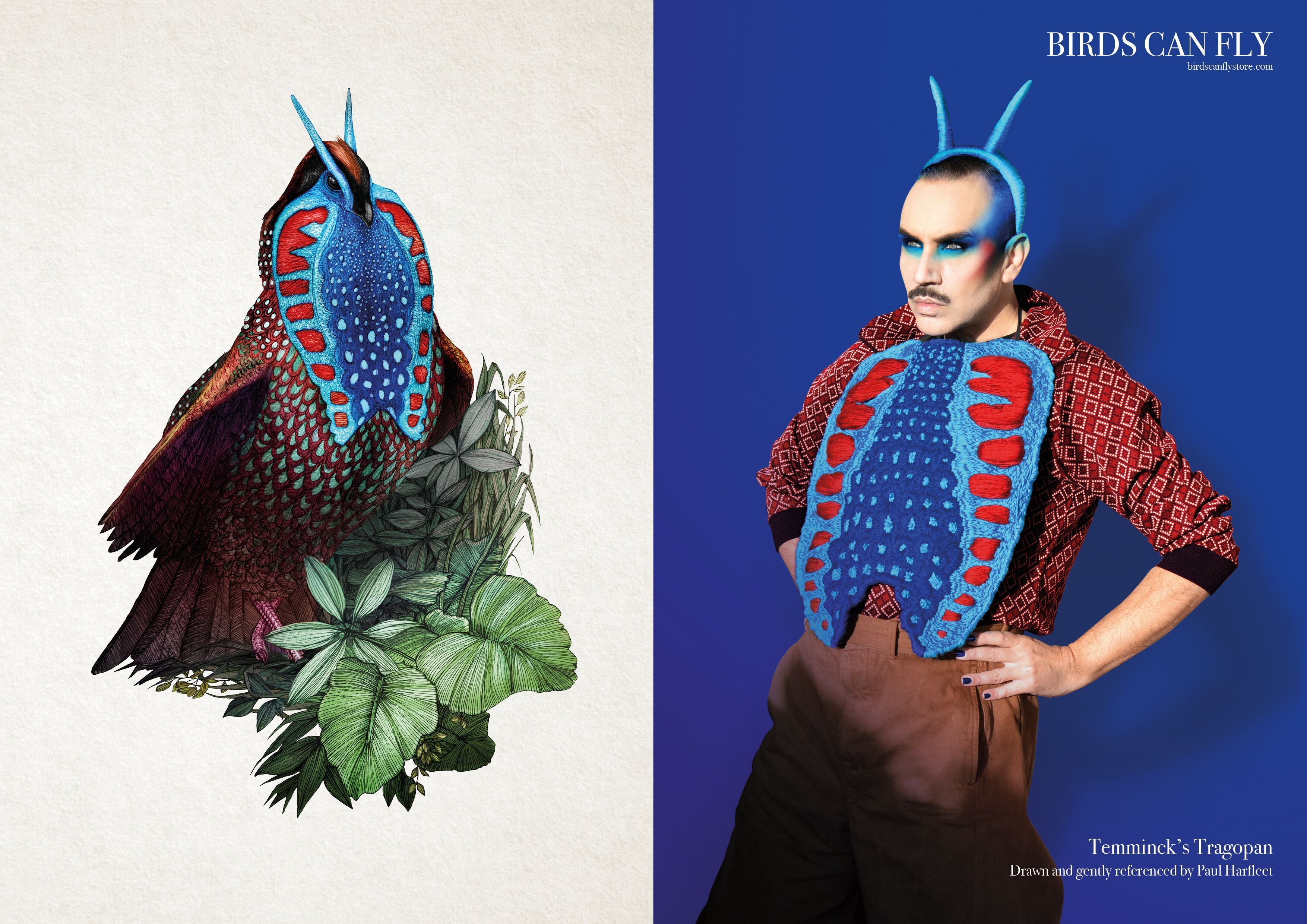 Temminck's Tragopan. A Day at The Museum