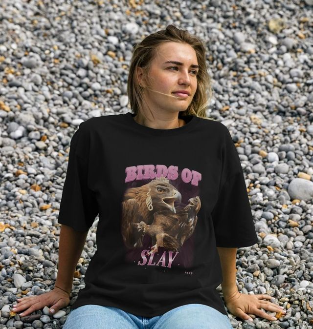 Birds Of Slay Oversized Jumper