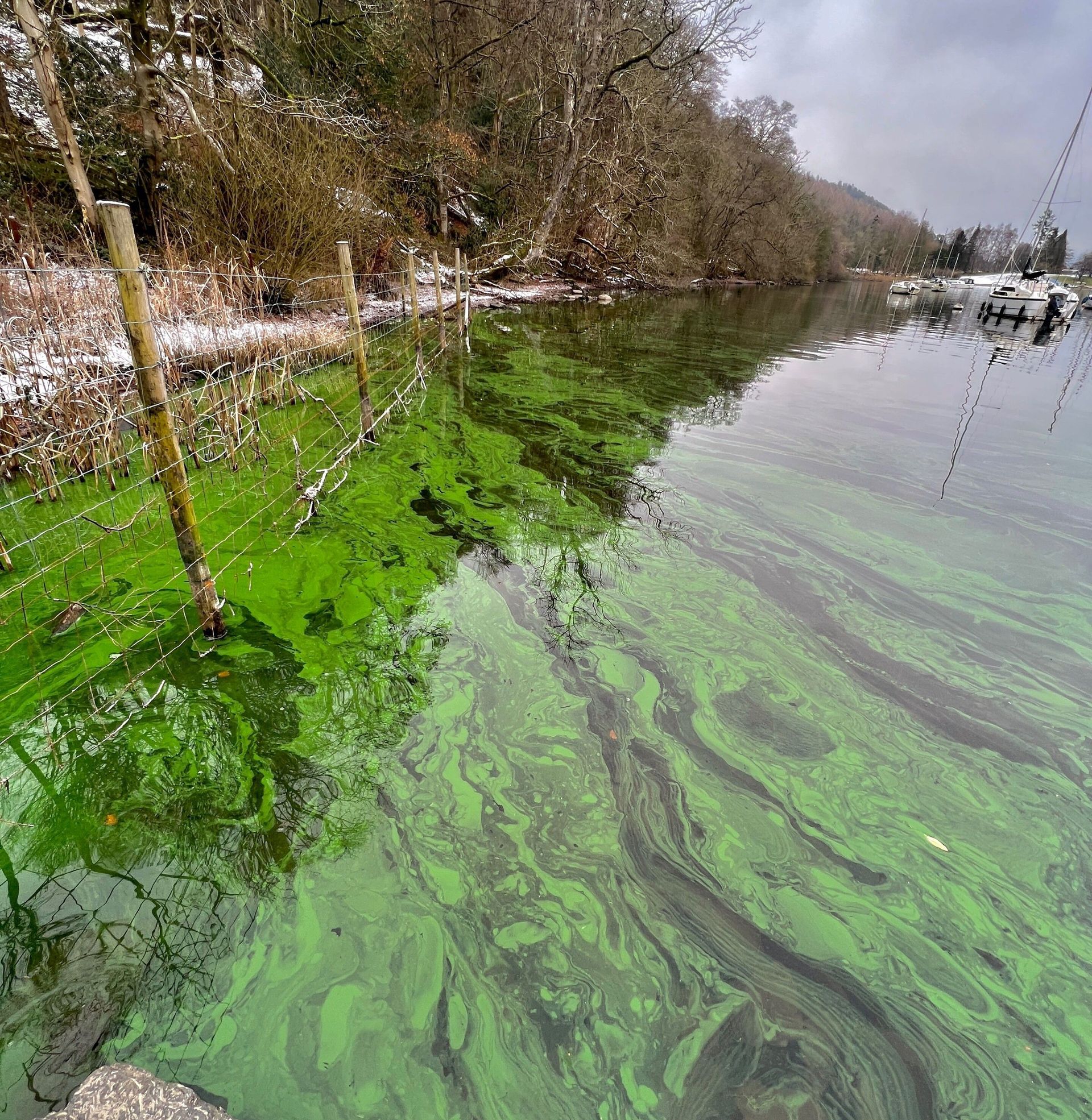 Save Windermere Store - Home