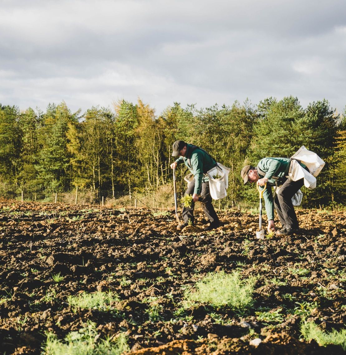 Forestry England | Forest T-shirts