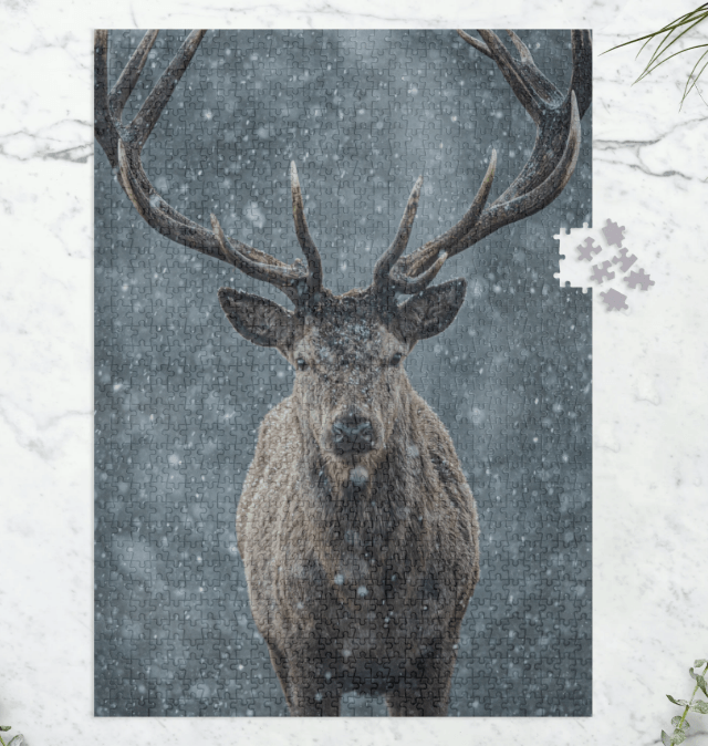 Stag in the Snow Jigsaw Puzzle