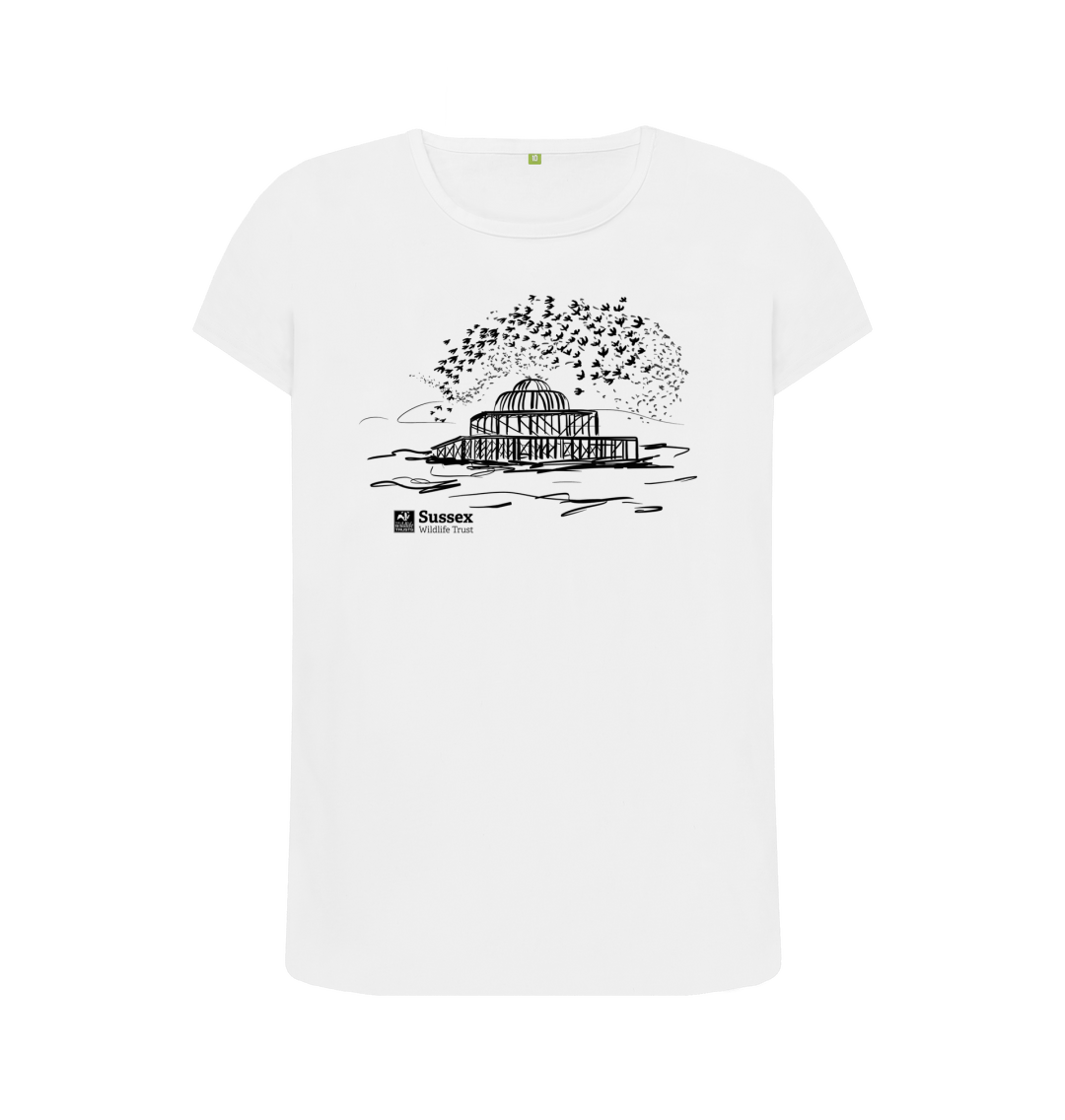 West Pier Murmuration Top
