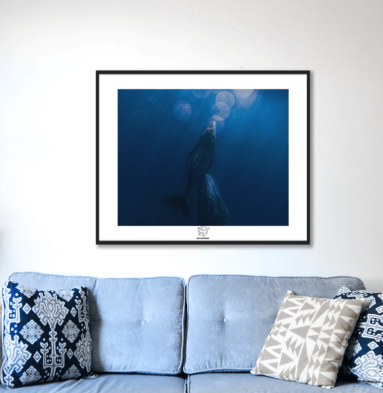 Sea Shepherd Merchandise