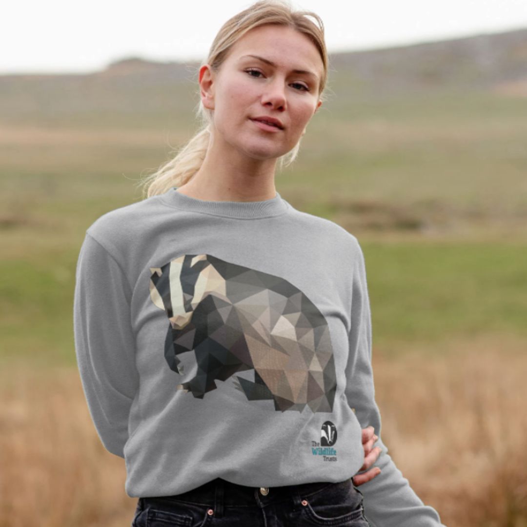 Geometric Badger Jumper | The Wildlife Trusts Store