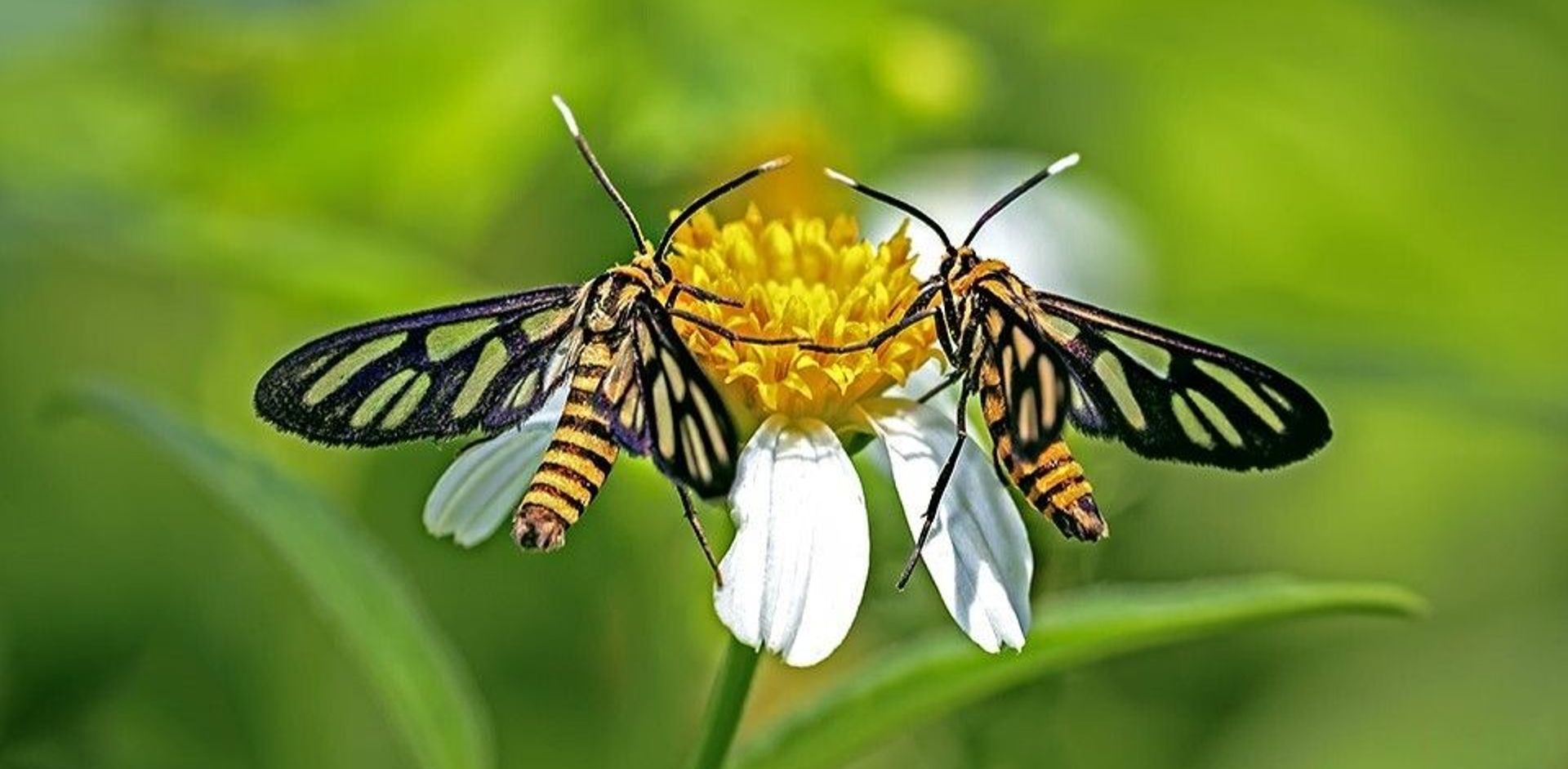 Home [royentsoc.shop]