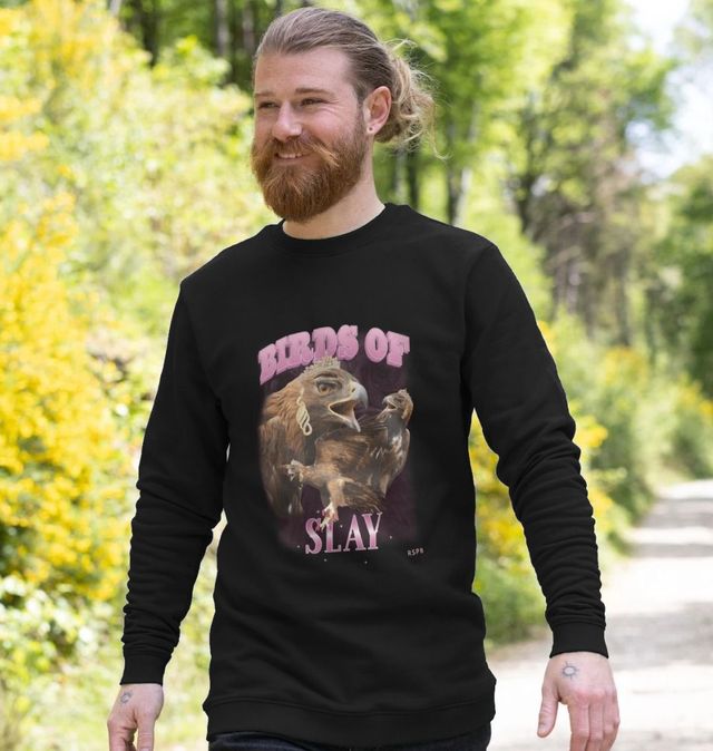 Birds Of Slay Oversized Jumper