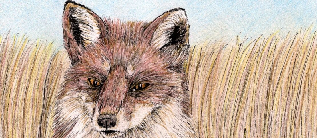 Bamboo Bandit artist collection