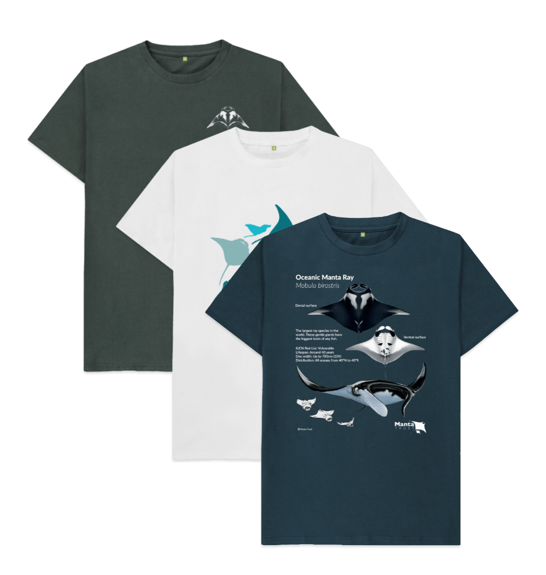 Ultimate Manta Bundle