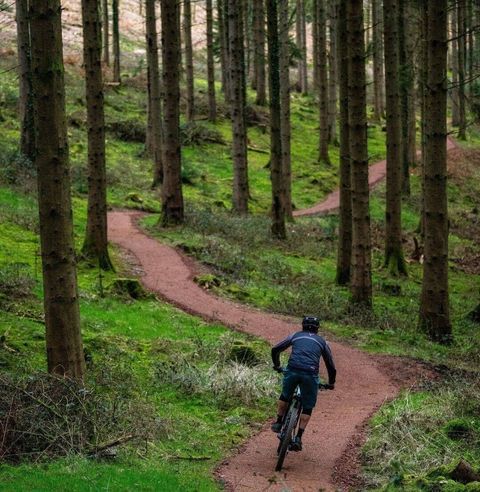 Forestry England | Forest T-shirts