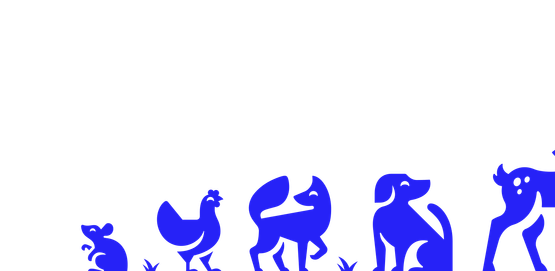 Accessories | Official RSPCA Clothing