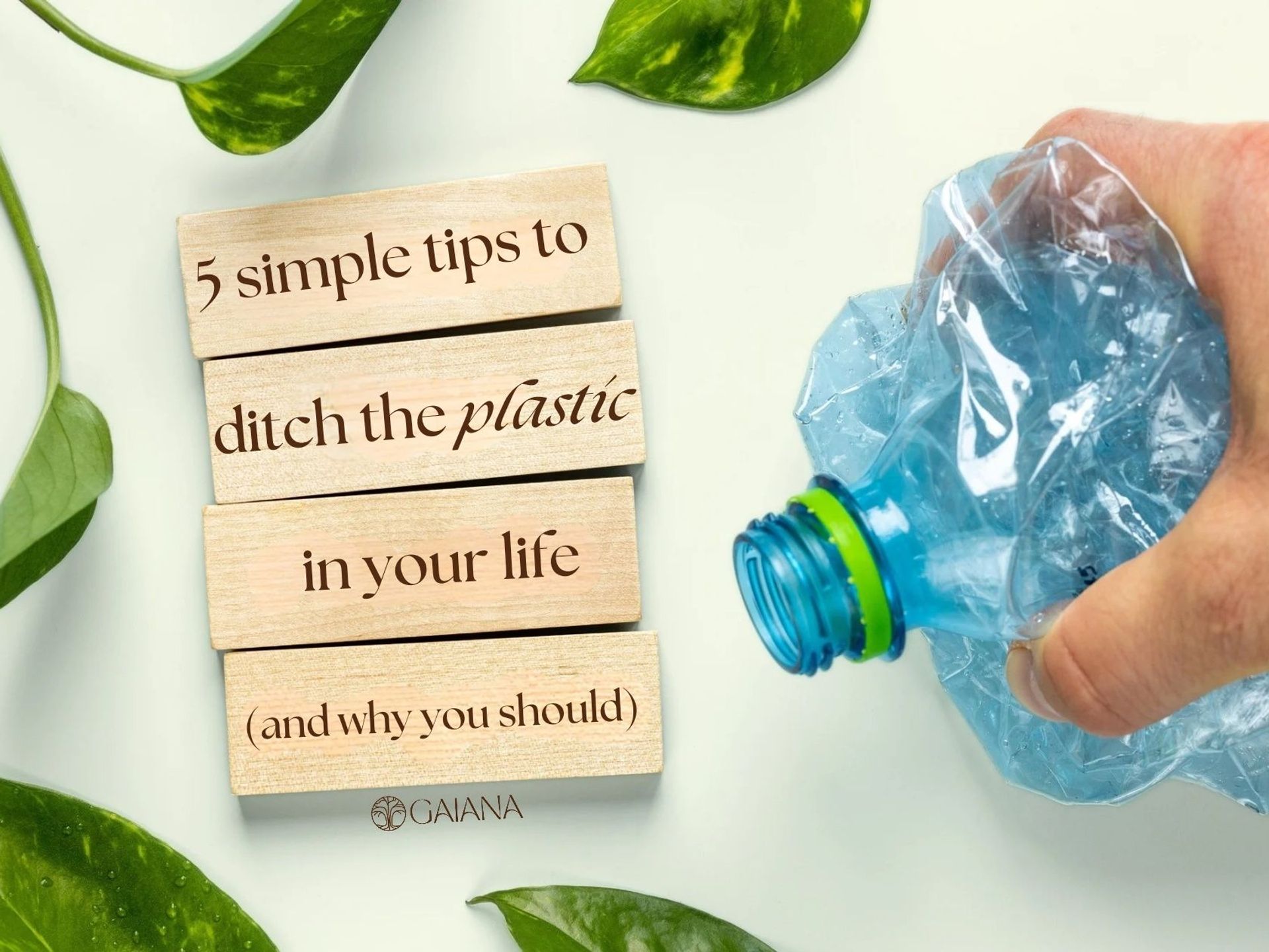 5 Tips To Ditch The Plastic In Your Life (And Why You Should)