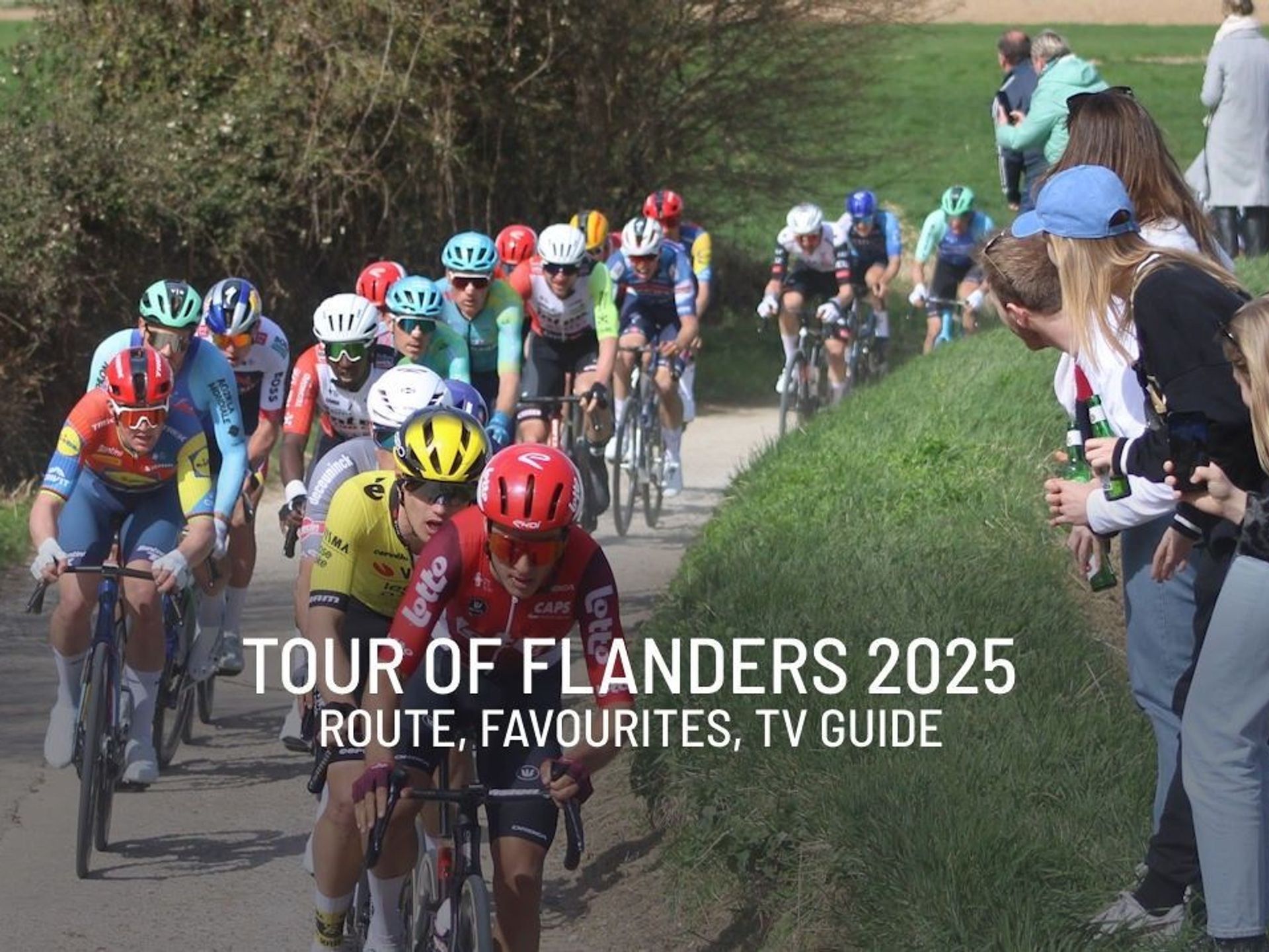 Tour of Flanders Guide 2025 | Rijden