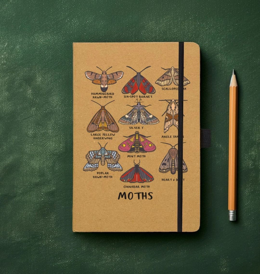 Moth Notebook
