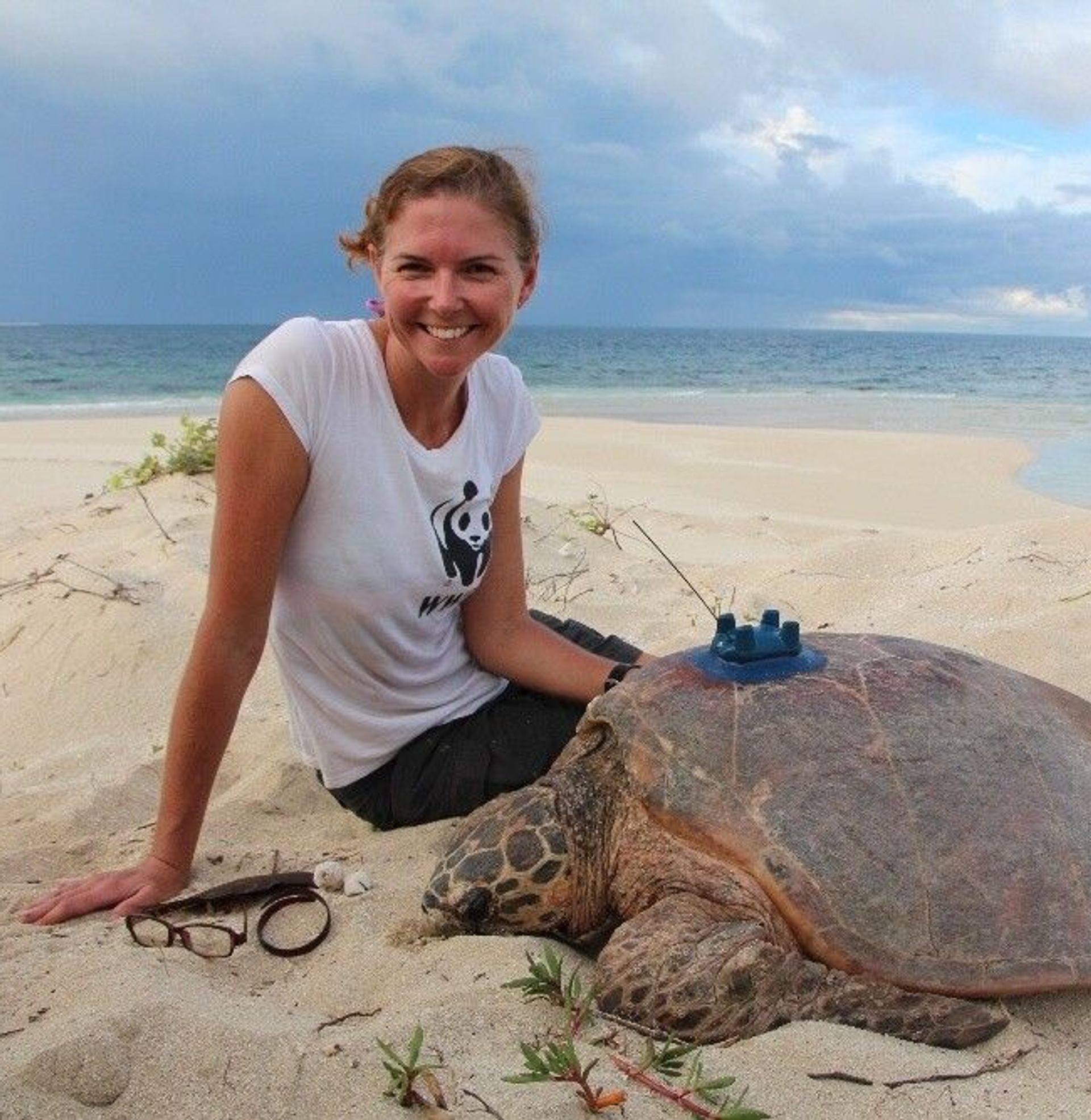 WWF International Store | Wildlife T-shirts