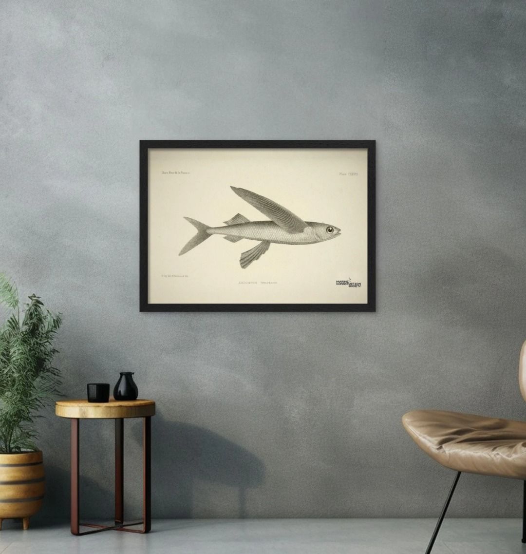Flying Fish Art Print