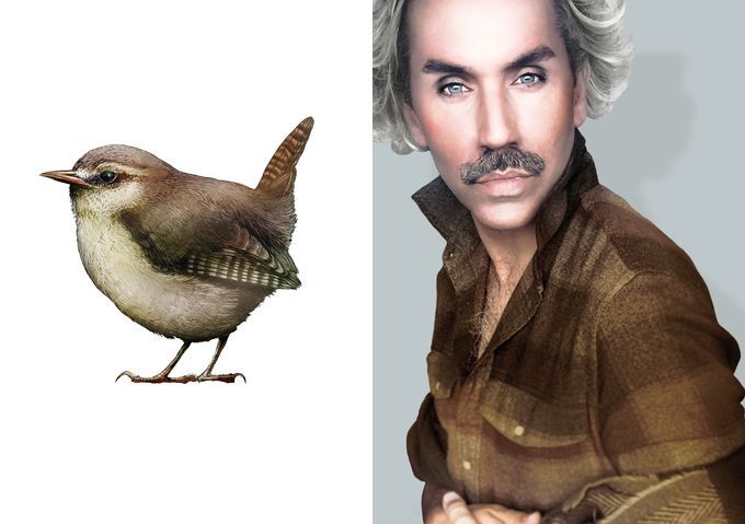 The Birds of Macbeth