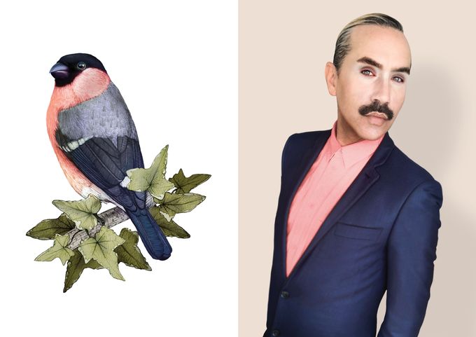 The Story of Mr Finch