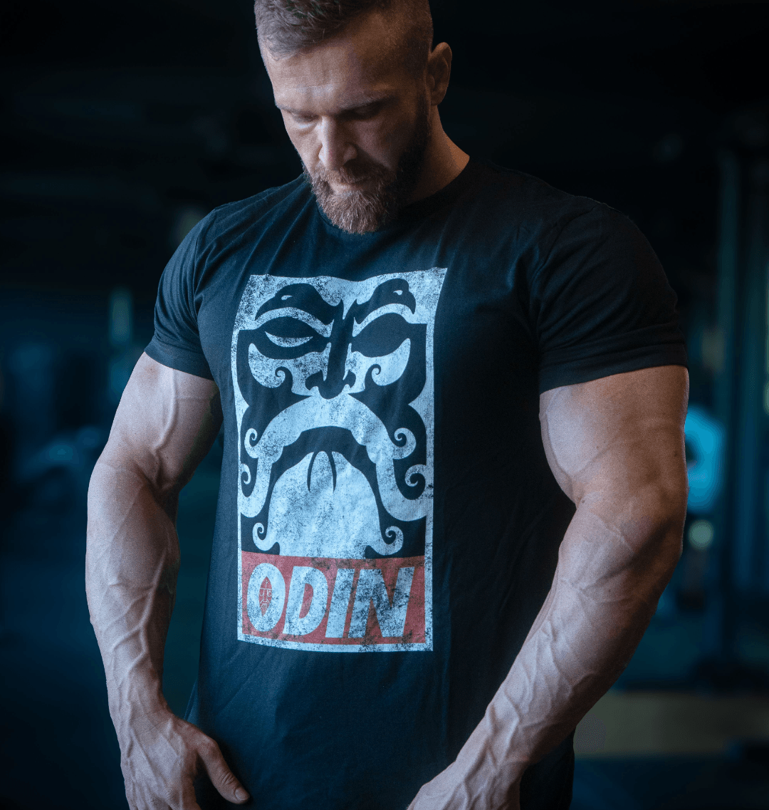 Hl U00fd U00f0a Odin T Shirt