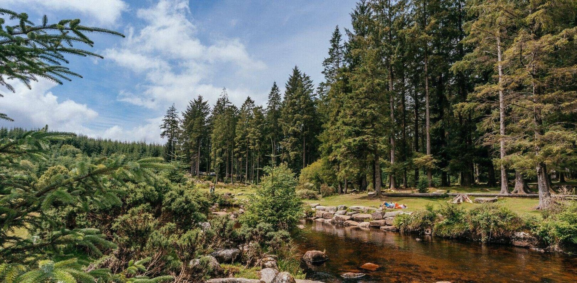 Nature T-shirts | Forestry England