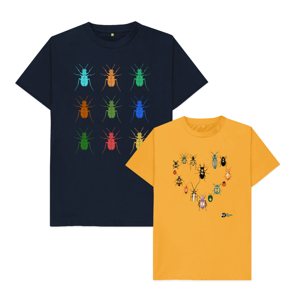 Bug Bundle | The Wildlife Trusts Official Store