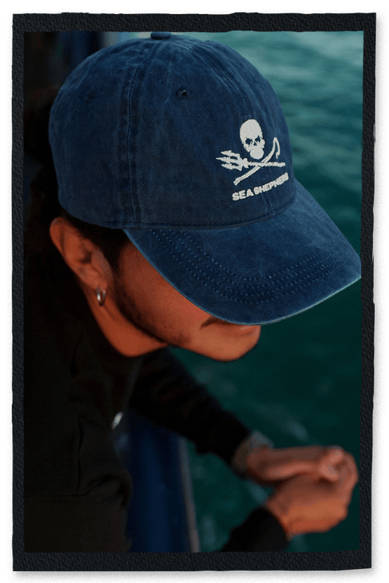 Official Sea Shepherd Merchandise