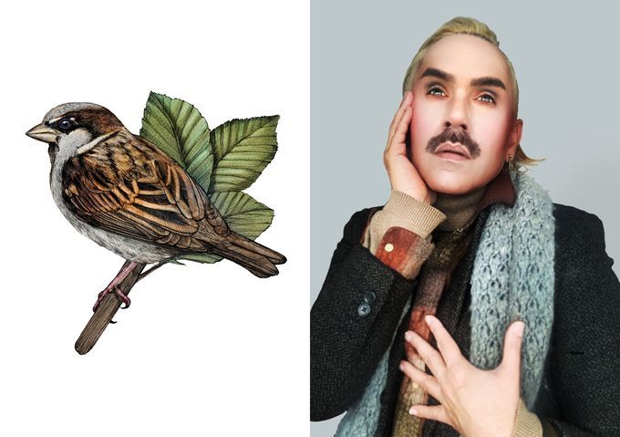 The Birds of Macbeth