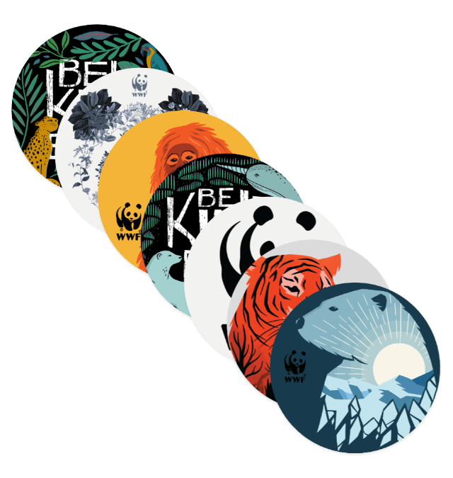 Art & Collectibles Digital Big Cats Individual Sticker Set etna.com.pe