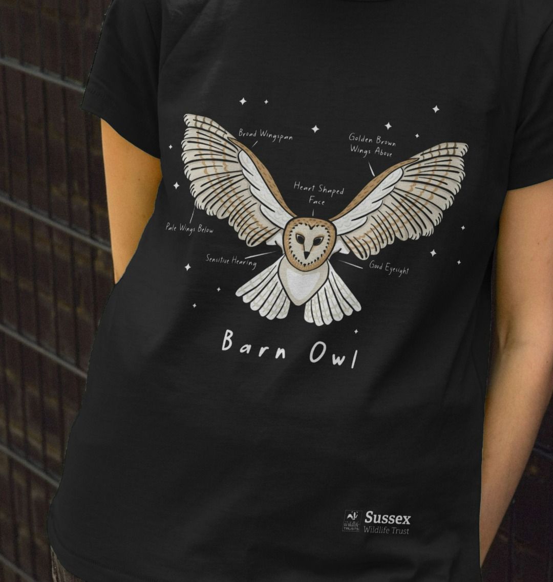 Barn Owl Top