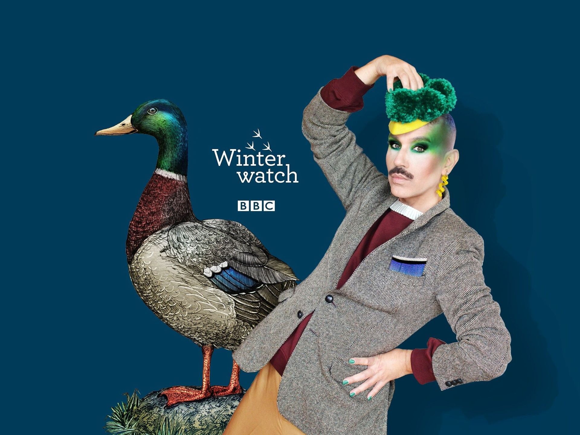 The Mallard - As Seen on TV