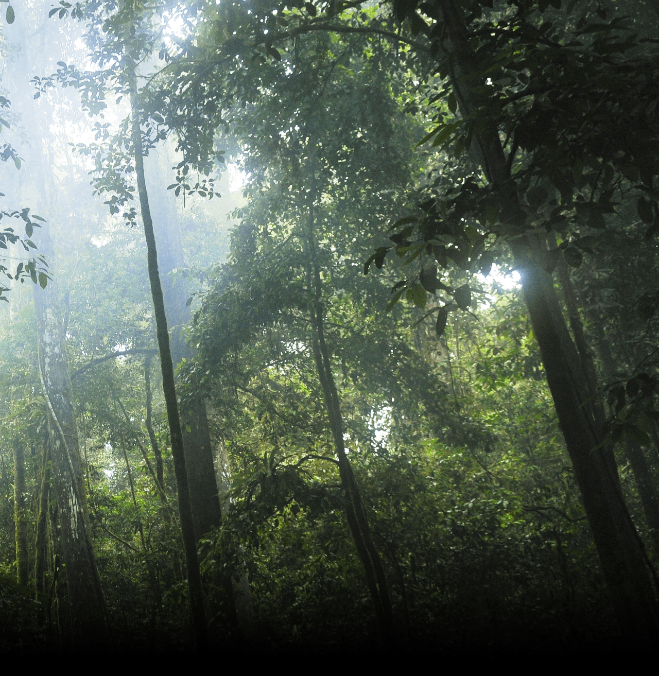 Planet Earth III | Official BBC Earth Shop