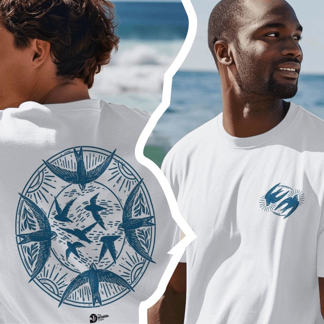 Common Swifts T-Shirt