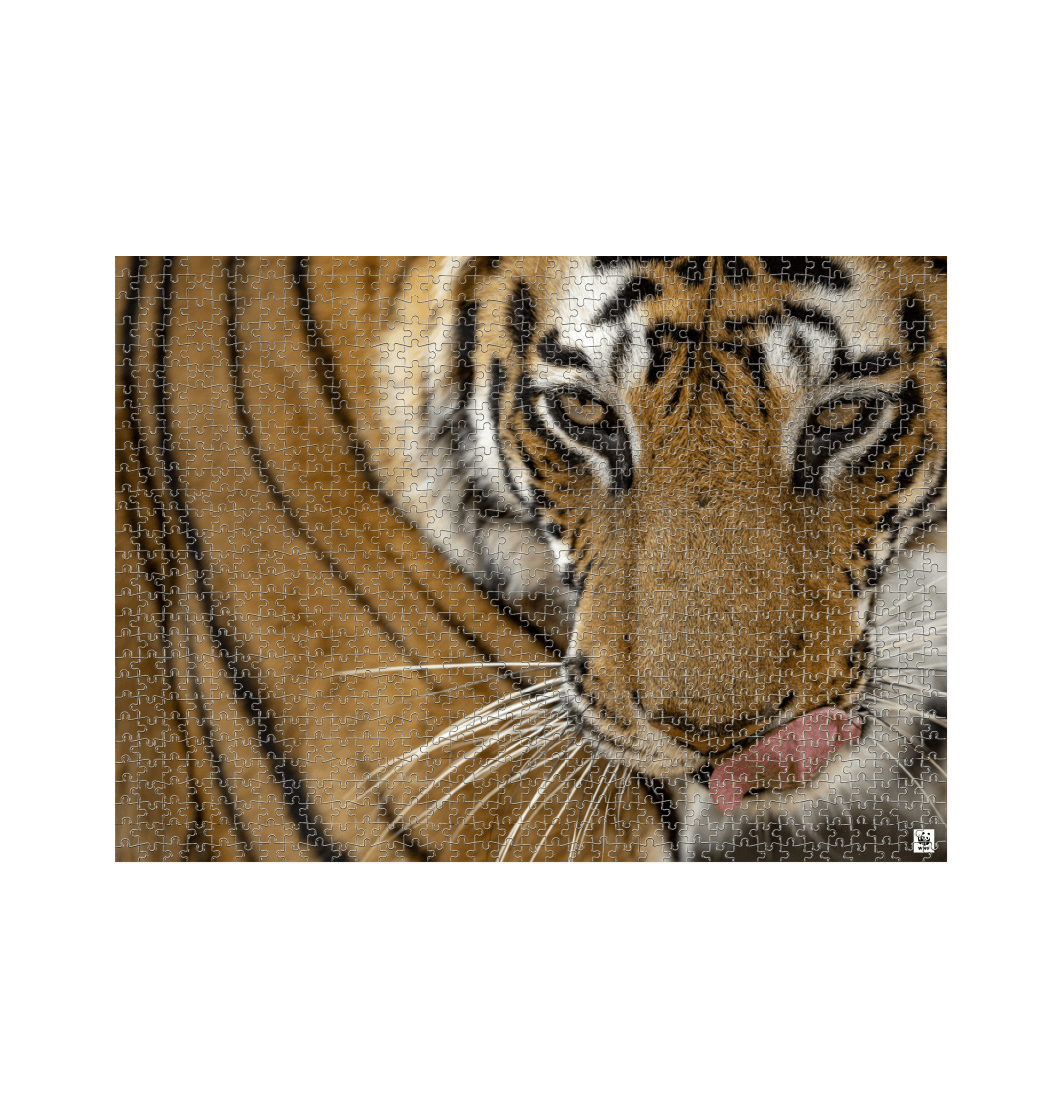 Tiger 1000 Piece Jigsaw