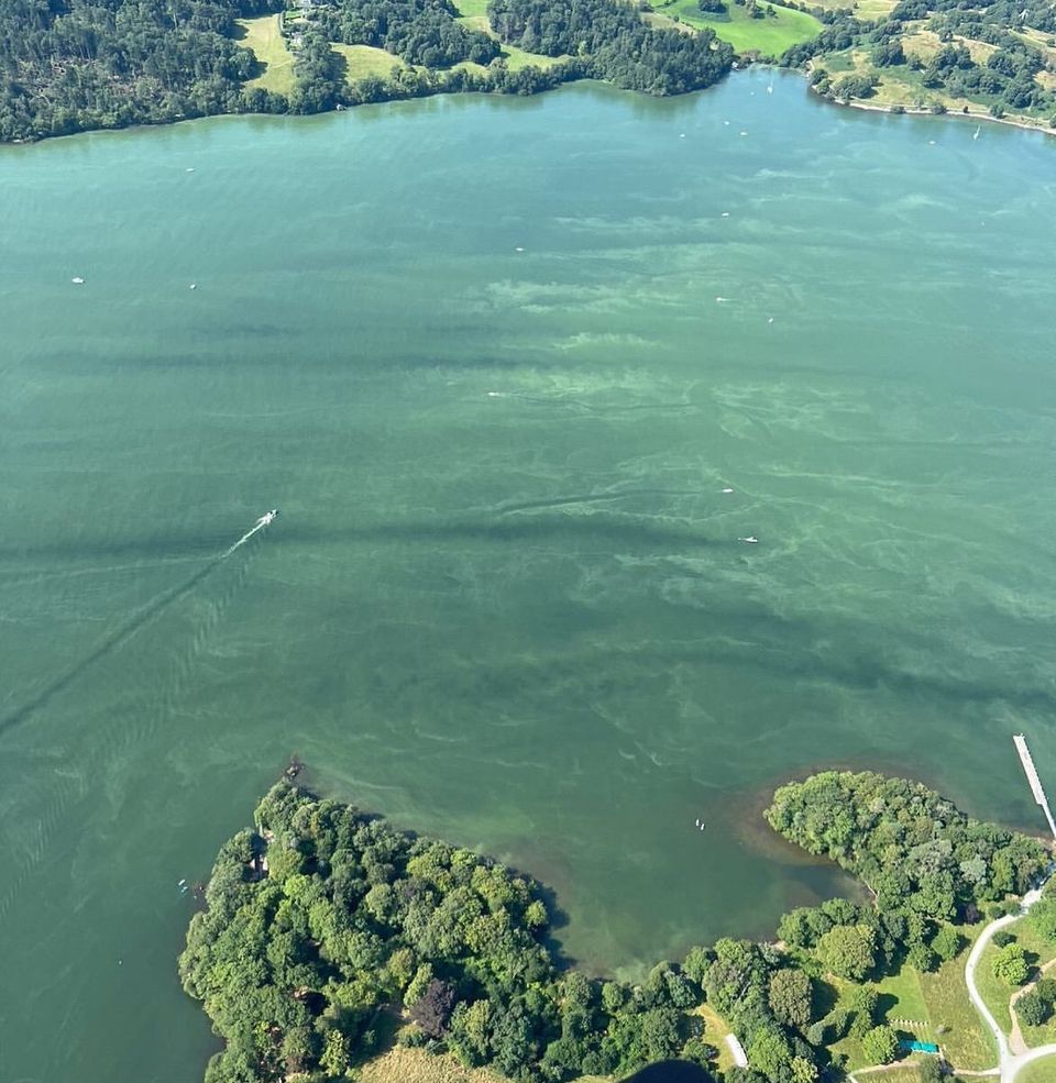 Save Windermere Store - Home