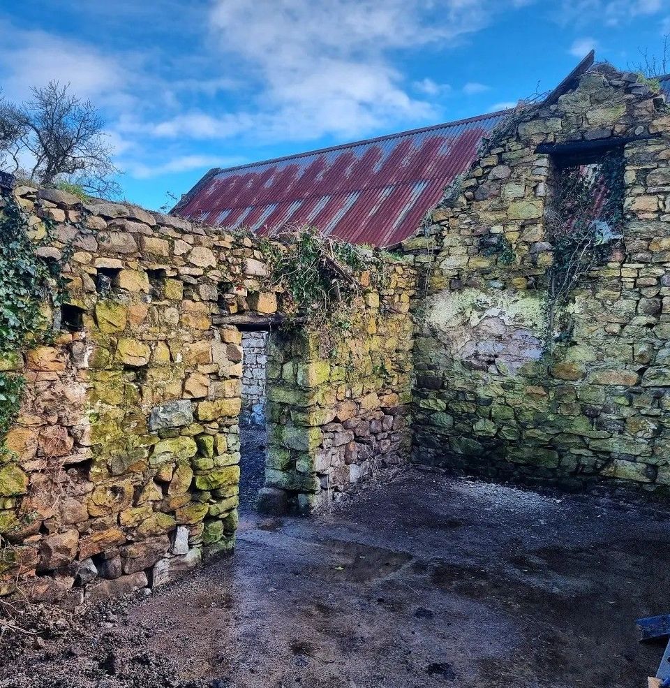 Home [the-irish-homestead.teemill.com]