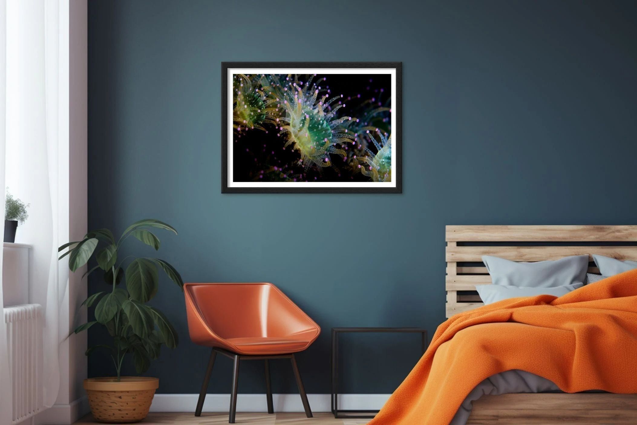 Ocean Accessories | Marine Conservation Society Shop