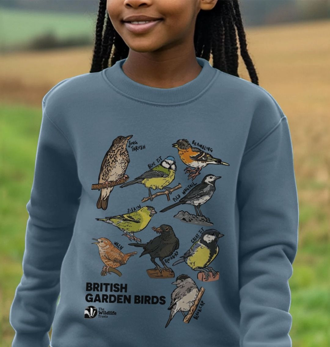 British Garden Birds Kids Jumper
