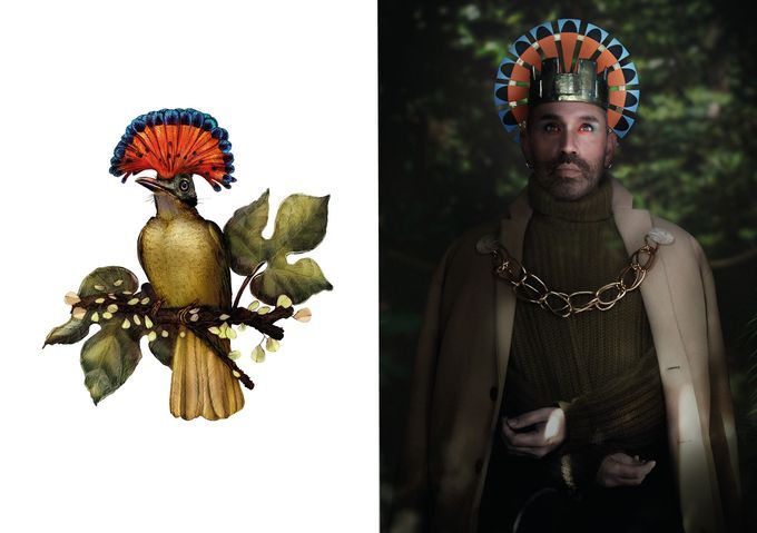 The Birds of Macbeth