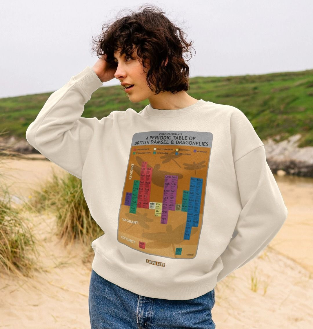 Dragonflies Periodic Table Oversized Jumper